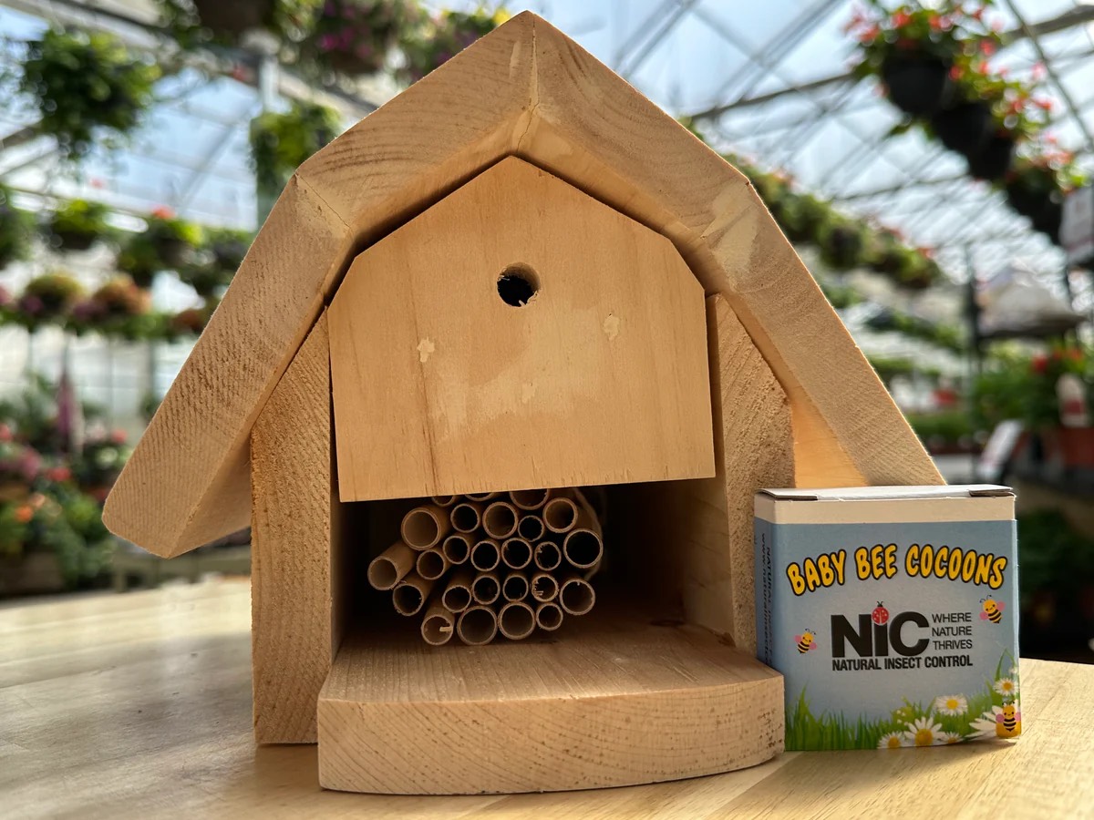 Solitary bee house - VanLuyk Garden Centre