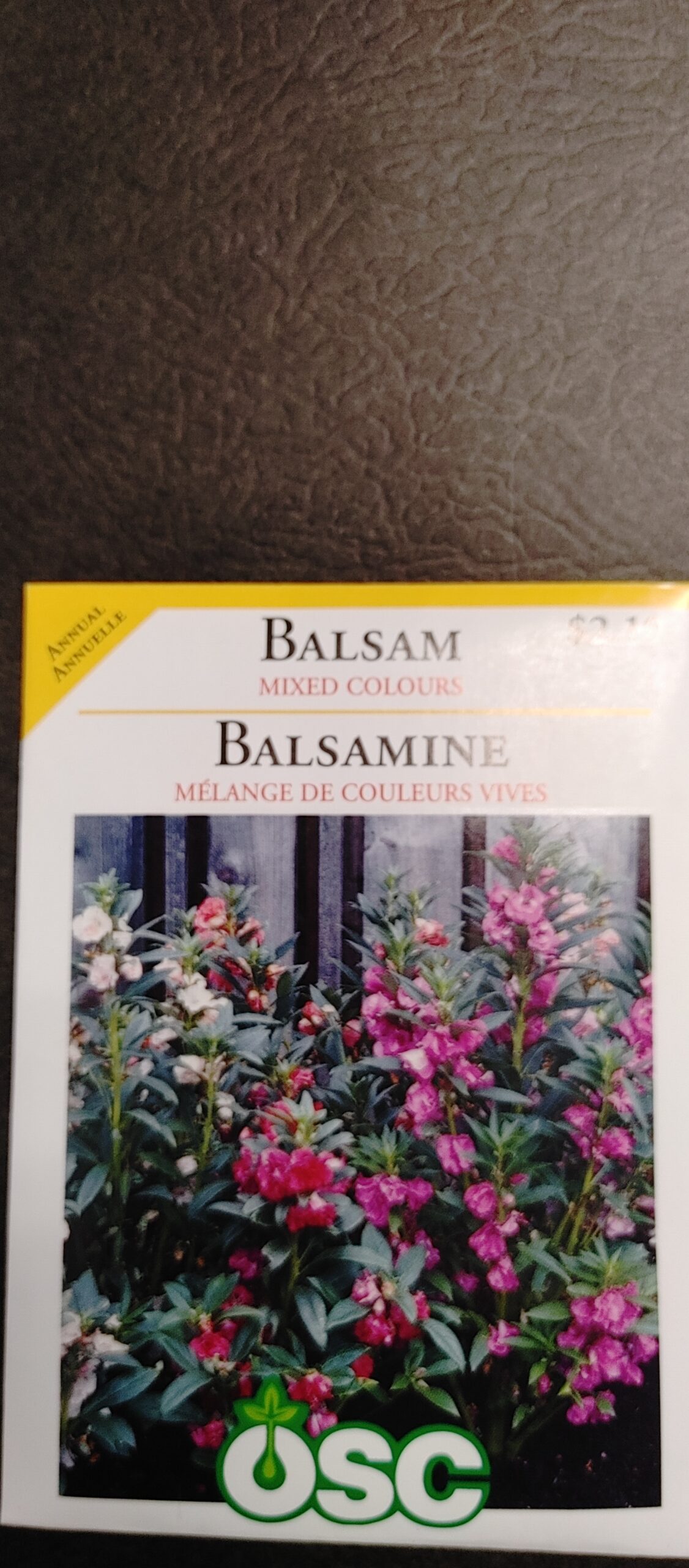 Balsam - Mixed Colours - VanLuyk Garden Centre