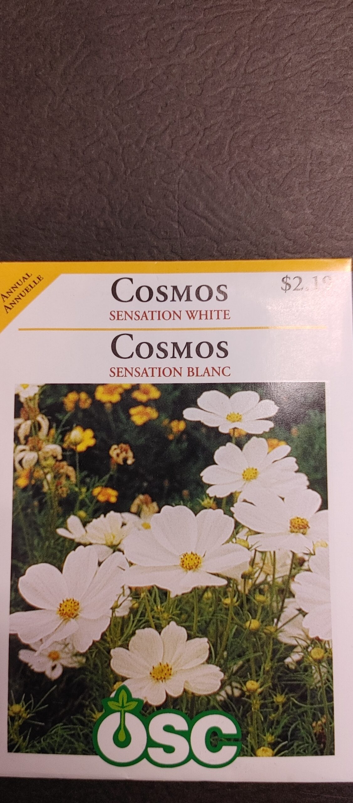Cosmos - Sensation White - VanLuyk Garden Centre