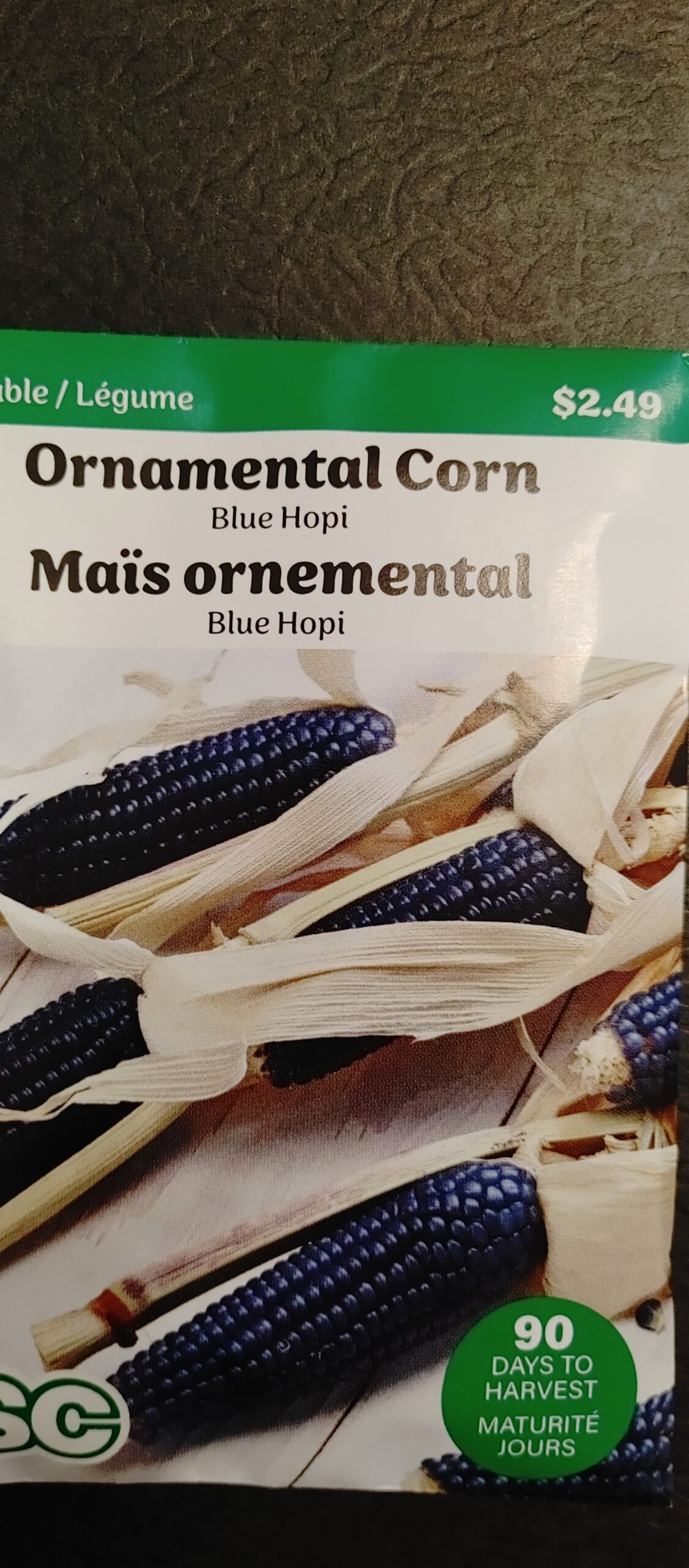 Ornamental Corn - Blue Hopi - VanLuyk Garden Centre